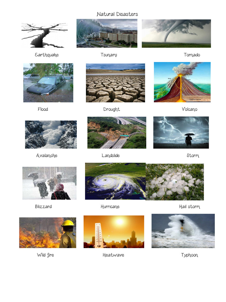 Types of Natural Disasters Explained | PDF