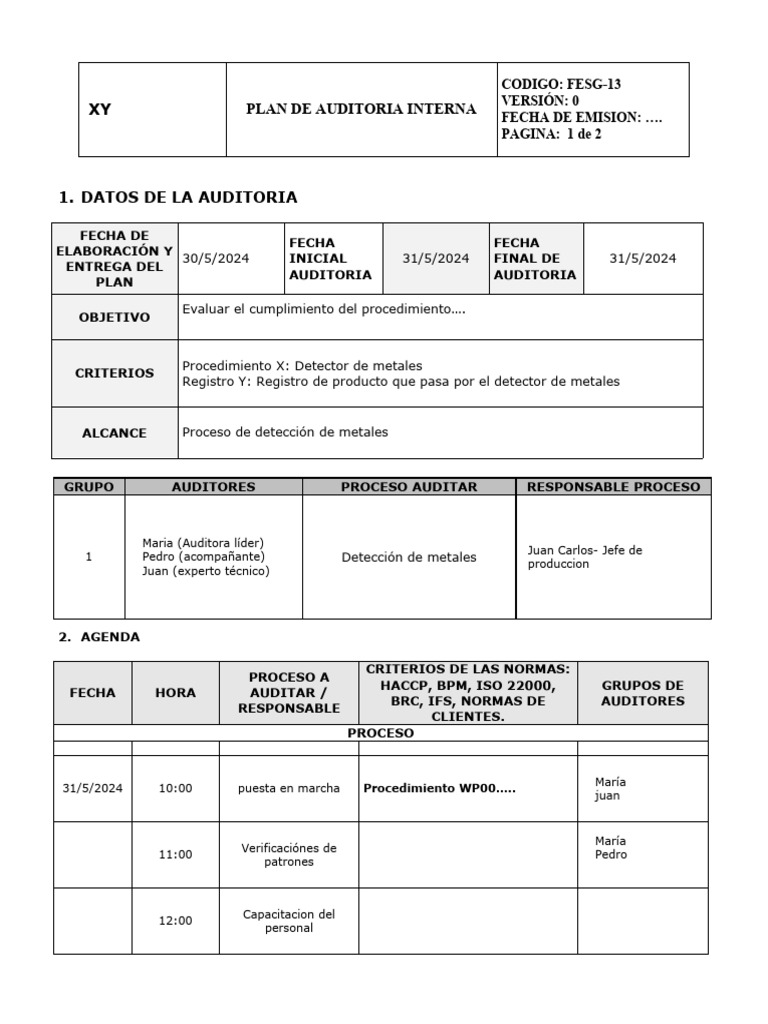 TALLER 1 Plan de Auditoria Interna | PDF | Auditoría | Business