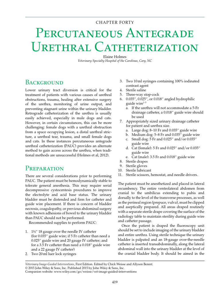 Holmes 2015 | PDF | Urinary System | Catheter