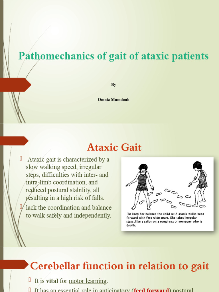 Pathomechanics of Gait of Ataxic Patients | PDF | Cerebellum | Motor ...
