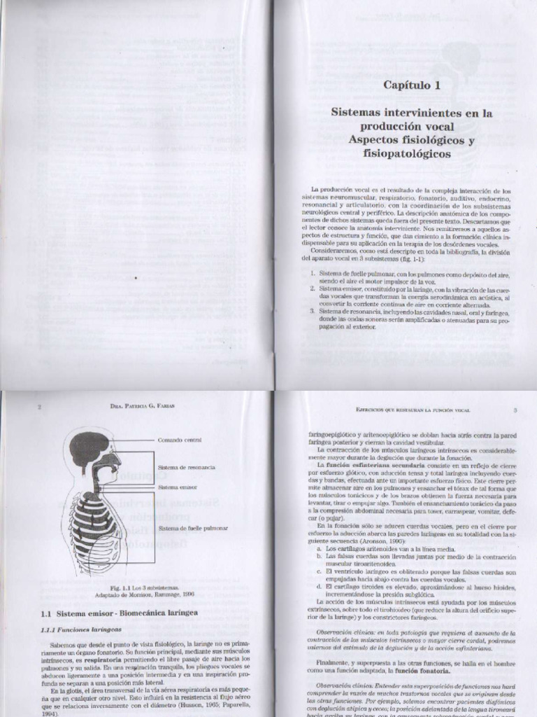 Sistemas Intervinientes | PDF