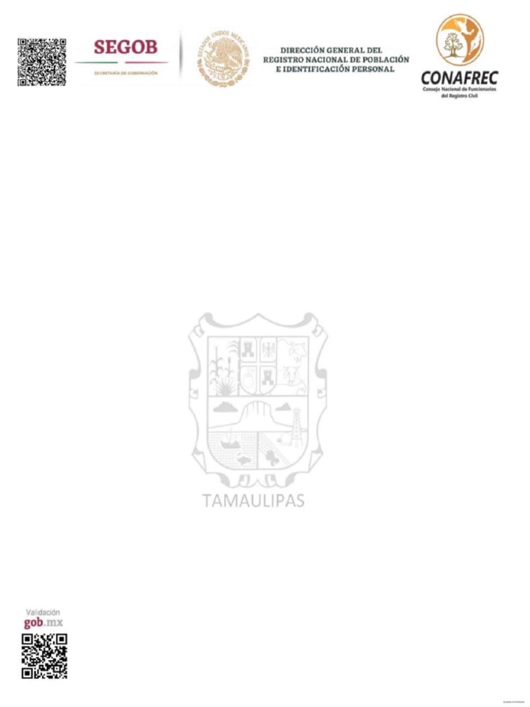 Tamaulipas Reverso | PDF