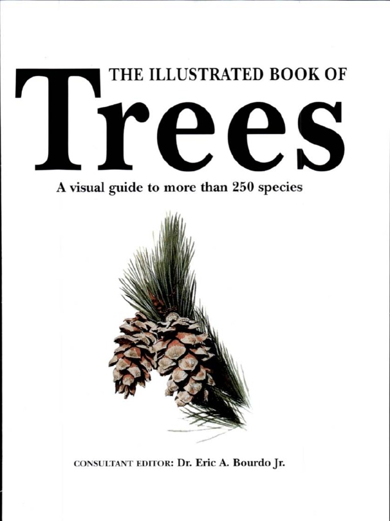 Illustrated Book of Trees Hungraphics | PDF | Fir | Maple