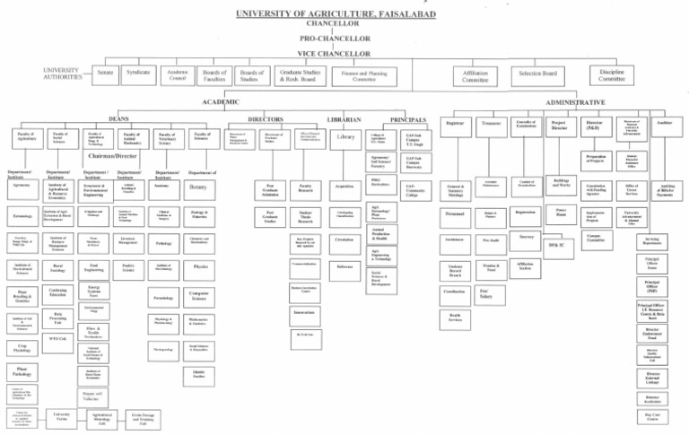 Organization - Chart From Uaf FSD | PDF
