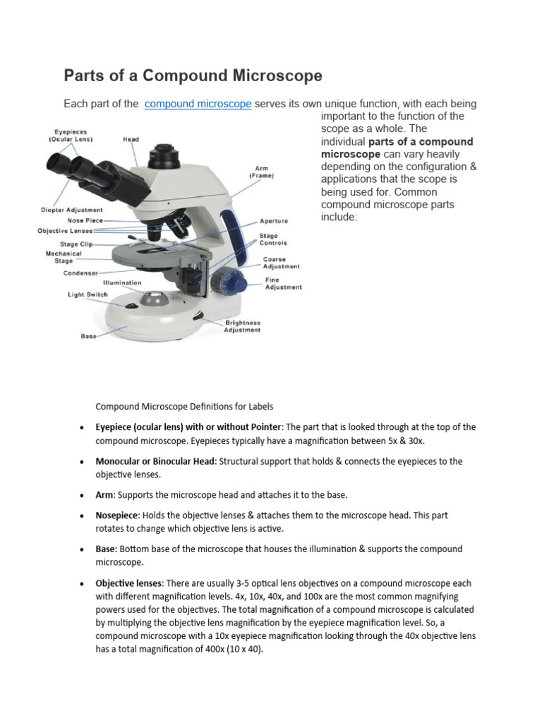 Parts of A Compound Microscope | PDF | Lenses | Laboratory Equipment