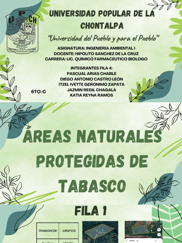 Áreas Naturales Protegidas de Tabasco - Fila 4 - 20240226 - 093950 ...