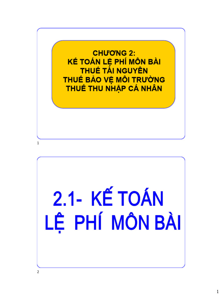 C2 KT Cac Loai Thue Khac - HV | PDF