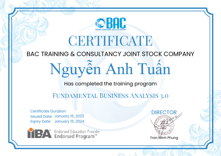 Business Analysis Certificate | PDF | Career & Growth