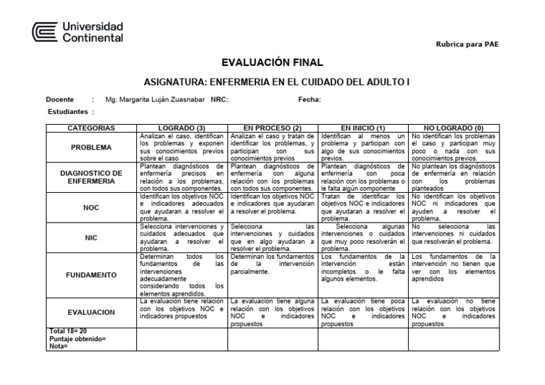 Rubrica Evaluacion final | Descargar gratis PDF | Evaluación | Cognición