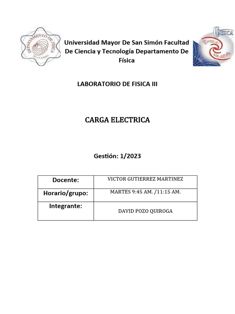 Carga Electrica Pdf Electricidad Campo Eléctrico
