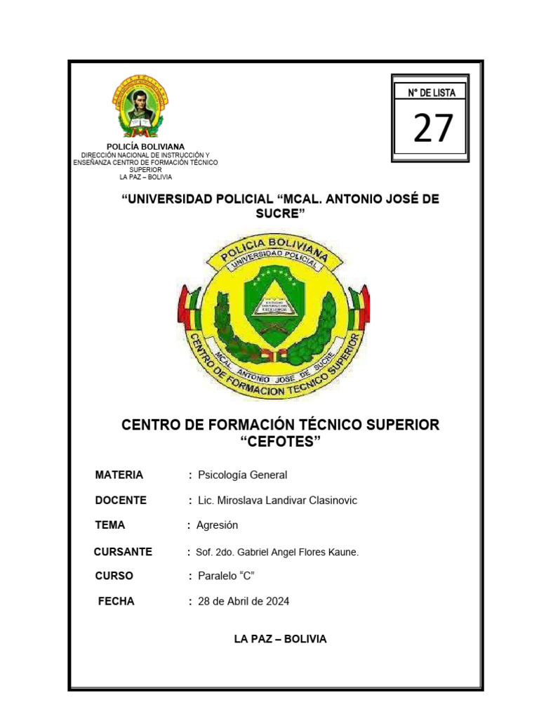 La Agresión Directa Hojas C. | PDF | Autolesiones | Agresión