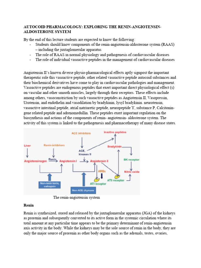 Autocoid Pharmacology Raas '1a | PDF | Angiotensin | Adrenal Gland
