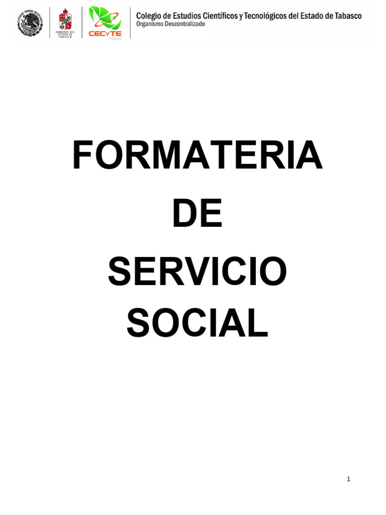 Formatos de Servicio Soc. 2023 | PDF