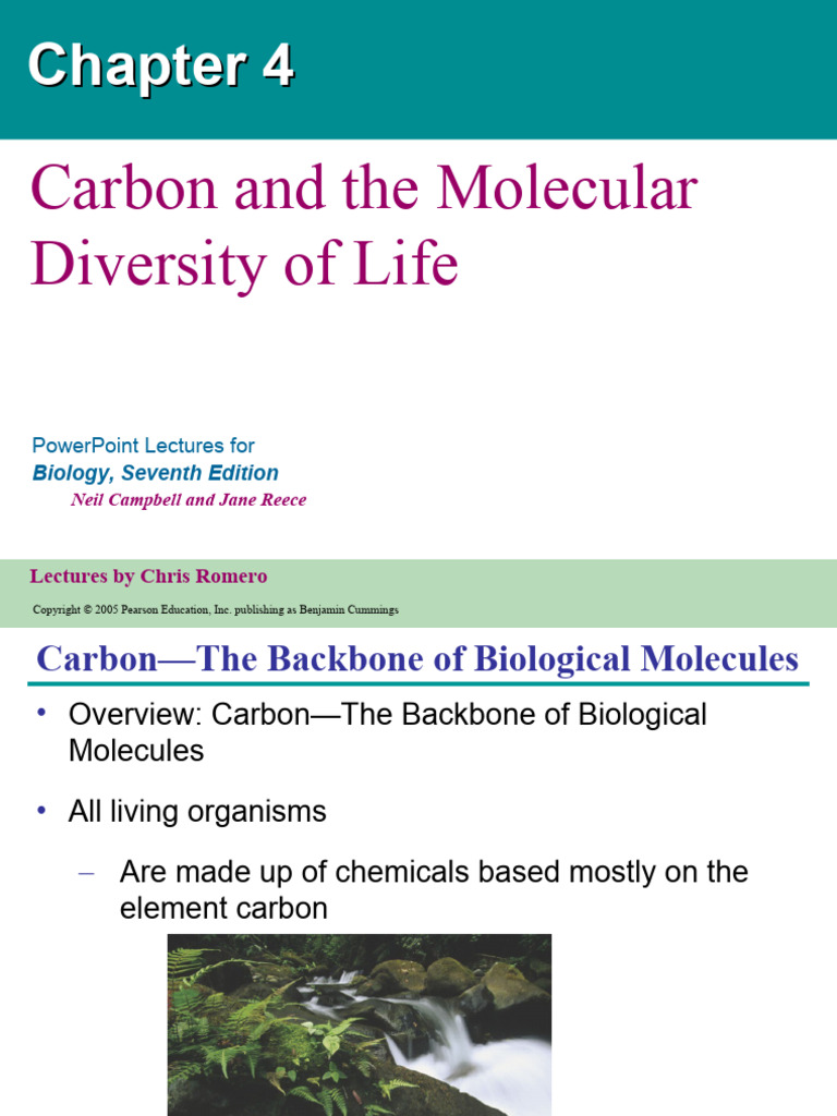 Chapter4 Carbon and Molecular Diversity of Life | PDF | Functional ...