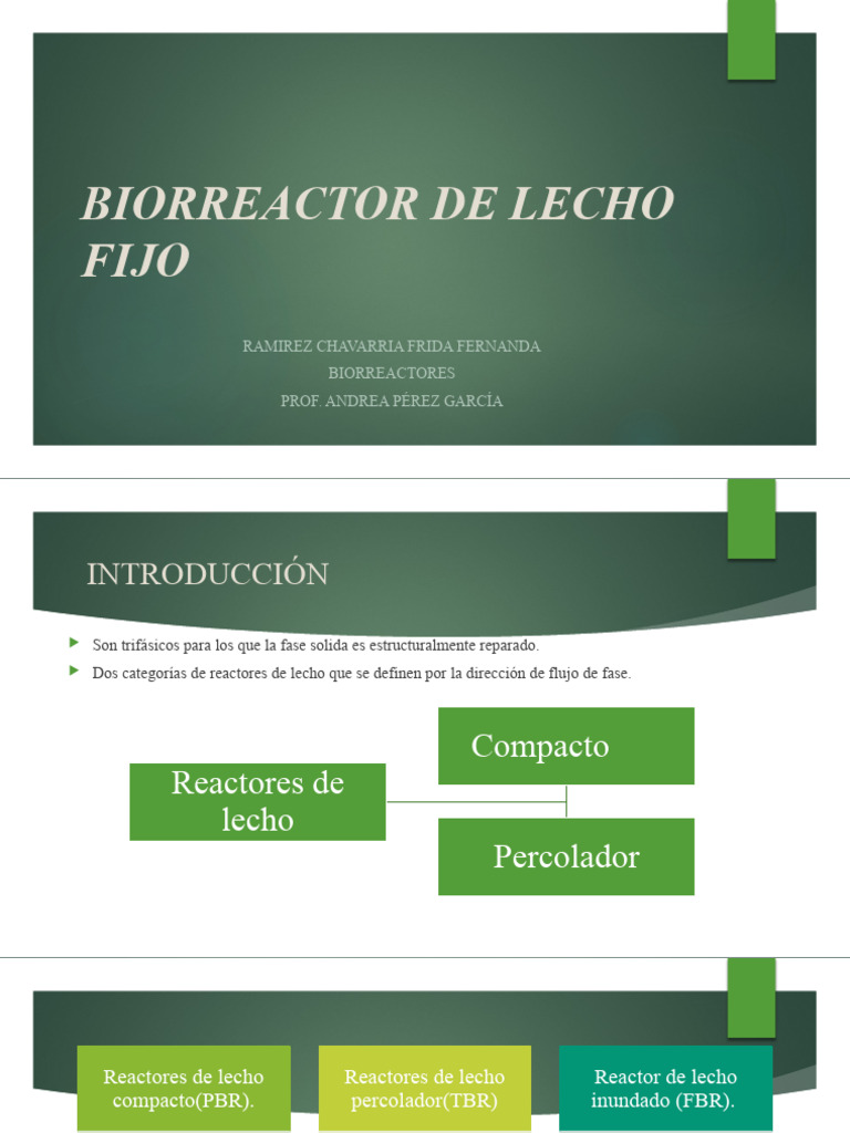 Reactores de Lecho Fijo: Tipos y Aplicaciones | PDF | Gases | Motor a ...