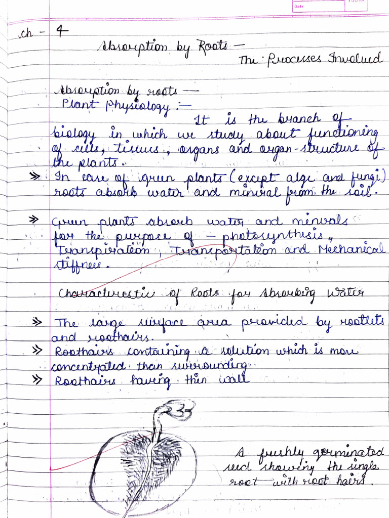 Bio notes | PDF | Nucleotides | Biomolecules