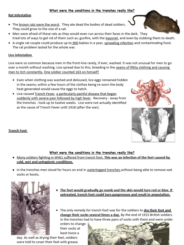 Conditions in The Trenches | PDF | Trench Warfare