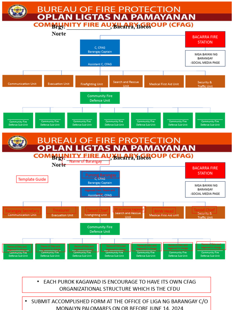 Cfag Organizational Structure | PDF | Hazards | Public Services