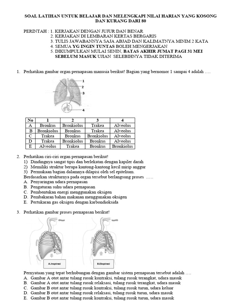 Latihan Soal Asat Xi 2024 | PDF