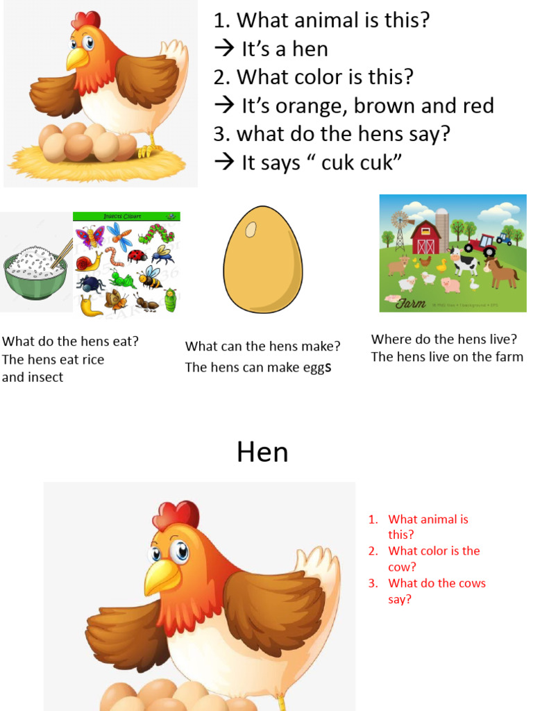 Lesson 2 - Hen | PDF