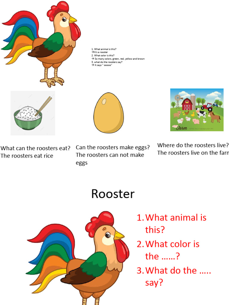 Lesson 3 - Rooster | PDF