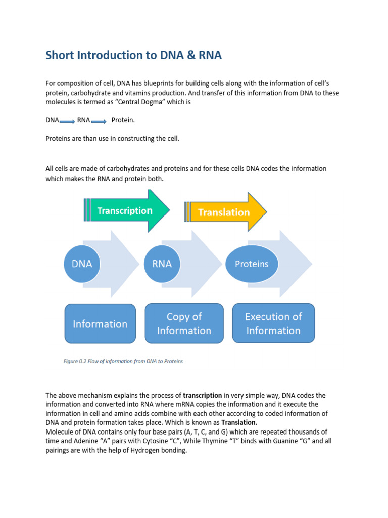 Sequence Alignment - Final | PDF | Dna | Sequence Alignment