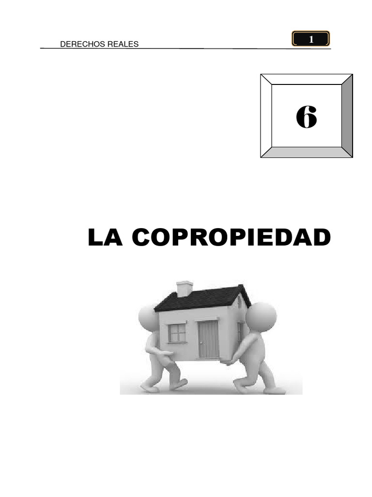 Ejemplos y Conceptos de Copropiedad | PDF | Condominio | Propiedad
