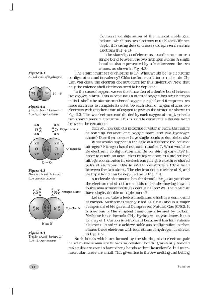 61_PDFsam_NCERT-Class-10-Science | PDF