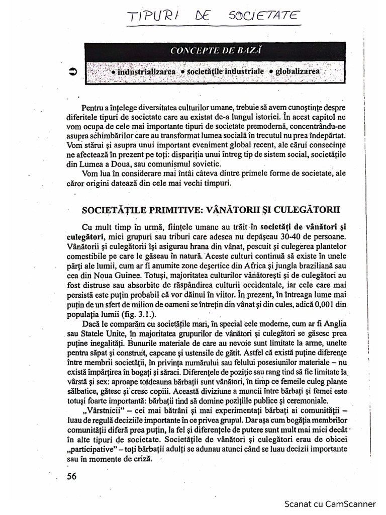 Tipuri de Societate | PDF