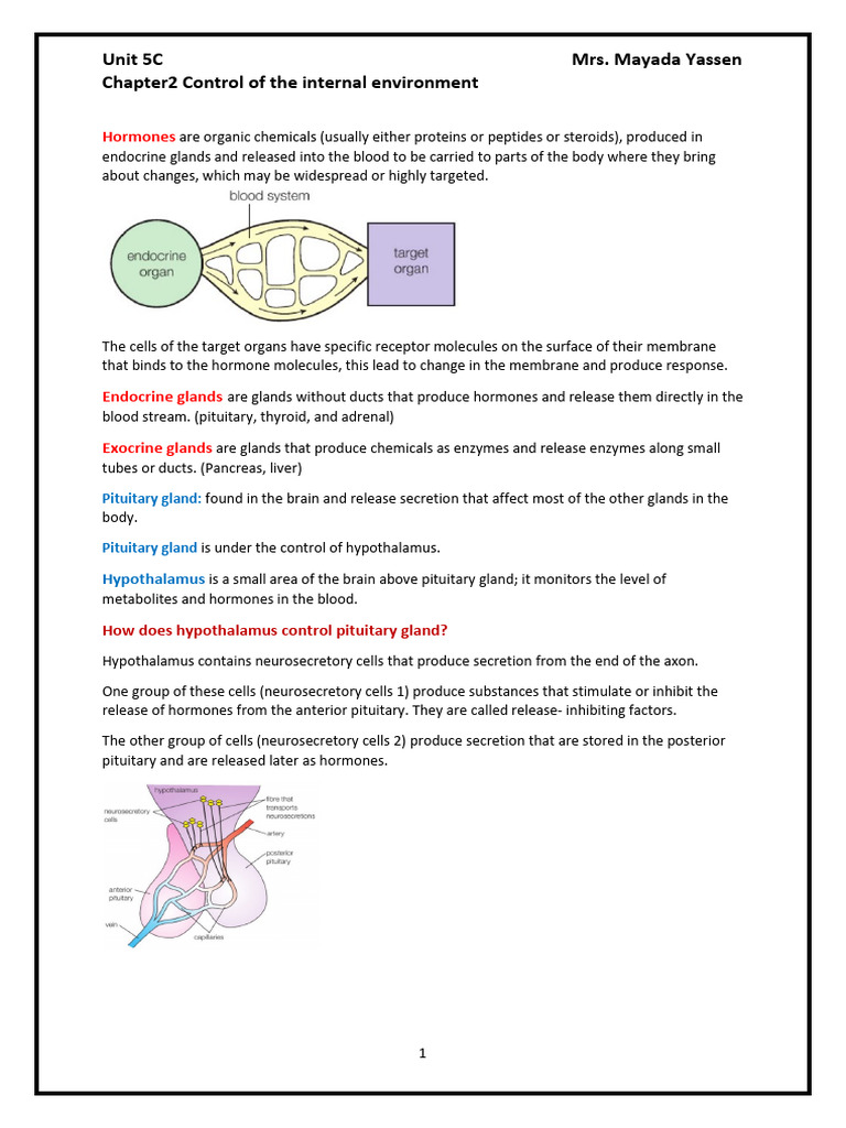 Al Unit 5 (Chapter 3) Notes | PDF | Kidney | Animal Anatomy