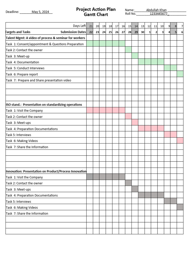 Action Plan Gantt - Areeba Malik-1 | PDF | Cognition