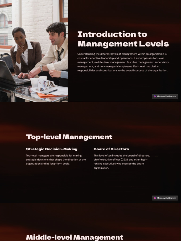 Introduction To Management Levels | PDF | Leadership | Performance Appraisal