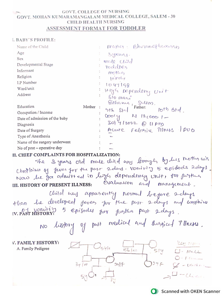 Toddler Assessment Form | PDF