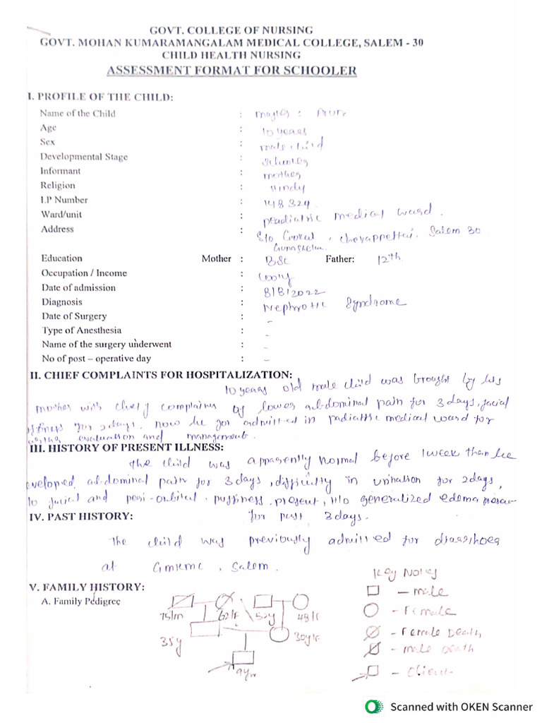 Schooler Assessment Form | PDF