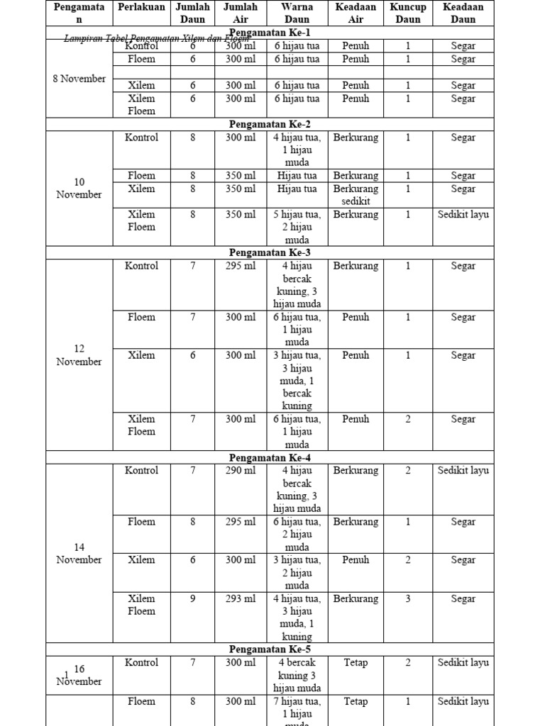 Tabel Pengamatan Xilem Dan Floem | PDF