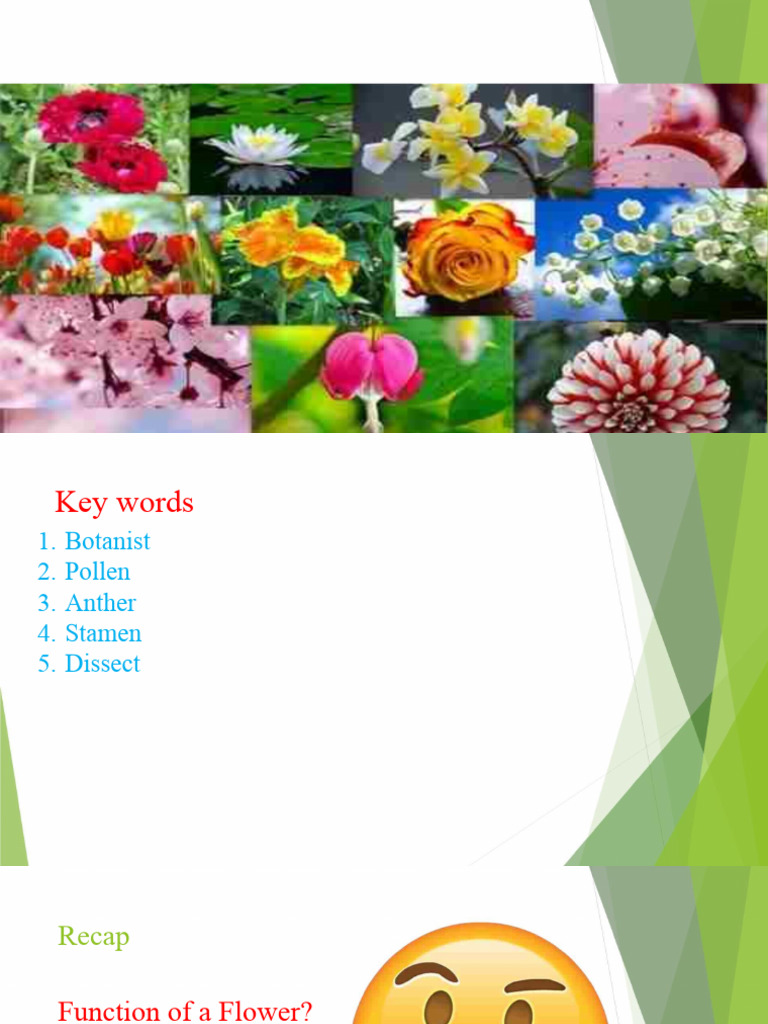 Unit1 Plant Parts (Ii) - Compressed | PDF