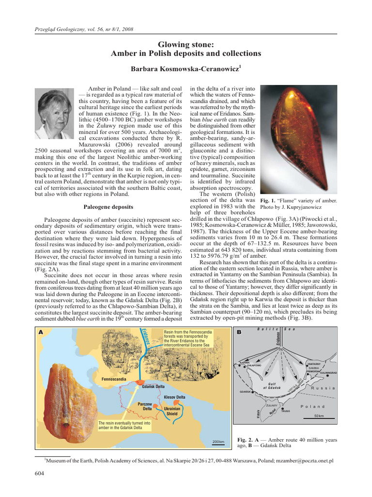 Amber in Polish Deposits and Collections | PDF | Amber | River Delta