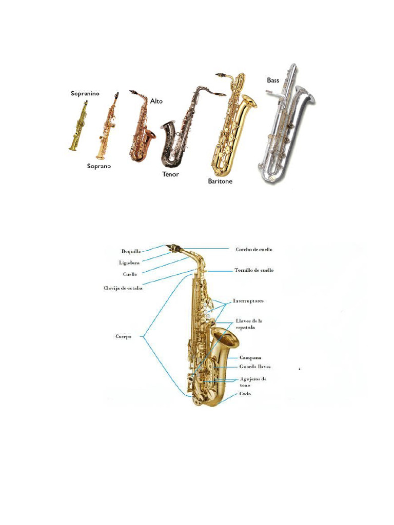 Saxo | PDF