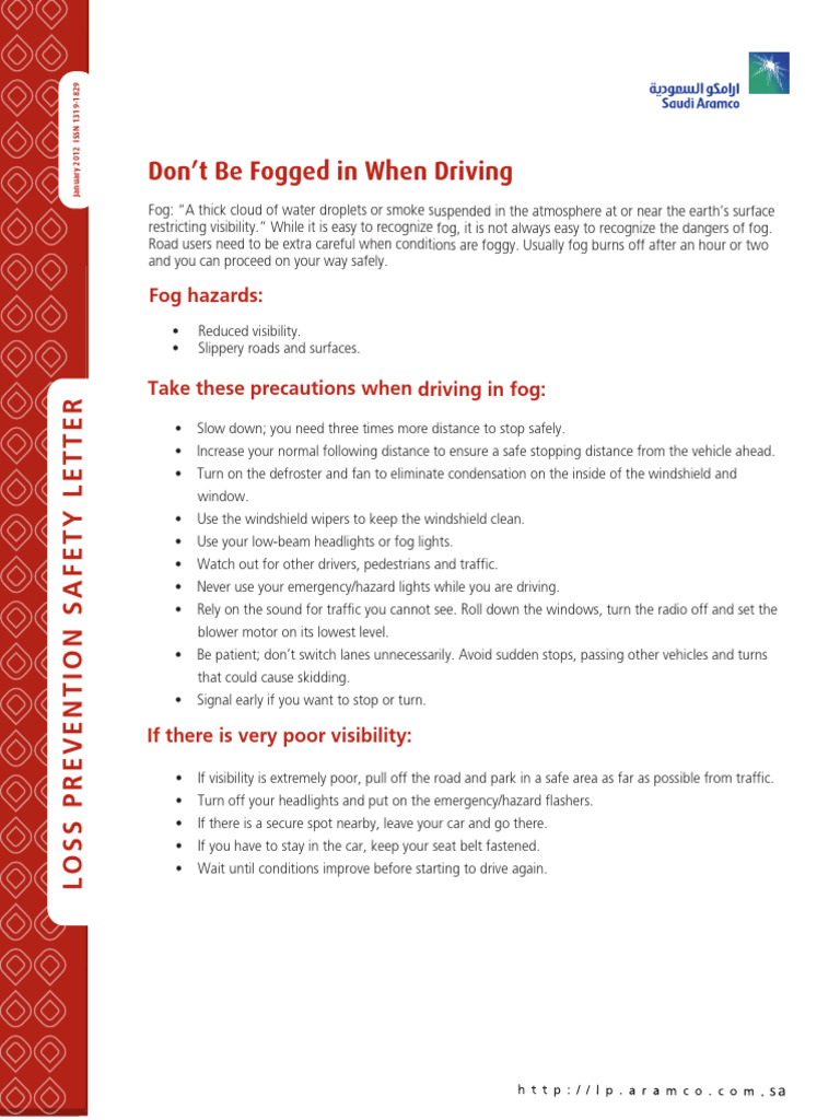Driving in Fog | PDF | Fog | Traffic