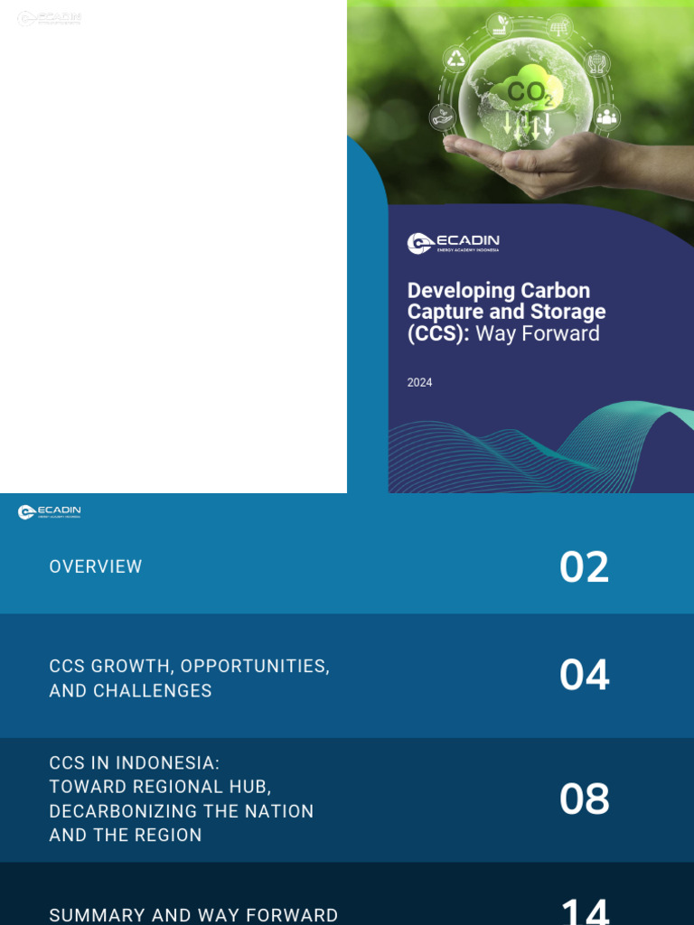 ECADIN 2024 - Developing Carbon Capture and Storage (CCS) Way Forward ...
