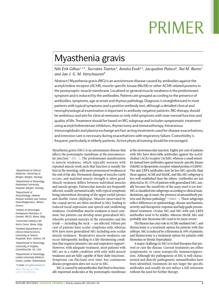 Myasthenia Gravis (Primer) | PDF | Neuromuscular Junction | Thymus