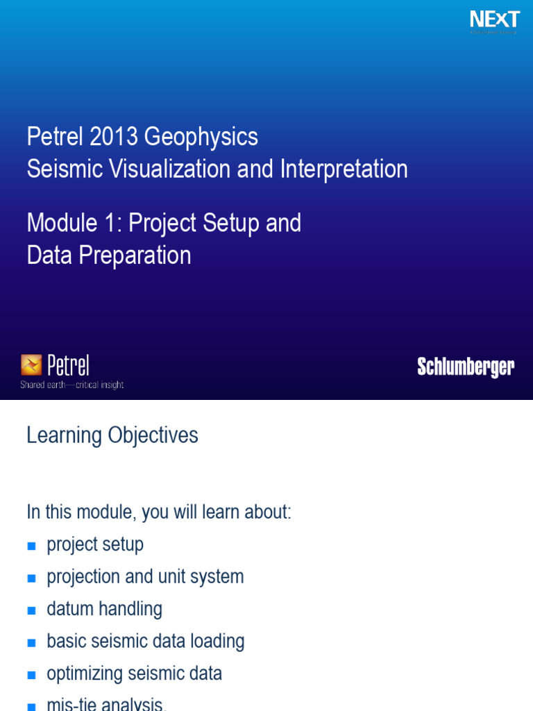Petrel 2013 Geophysics Setup Guide | PDF | Cache (Computing) | 3 D ...