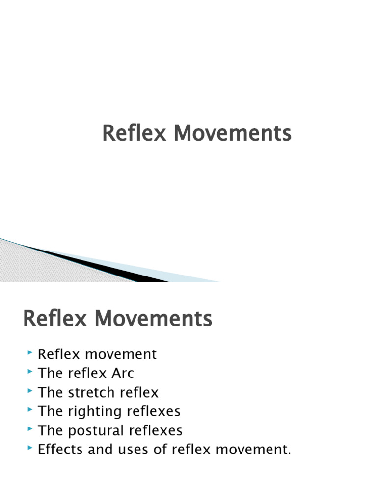 Reflex Movement Kine.ii | Download Free PDF | Skeletal Muscle ...