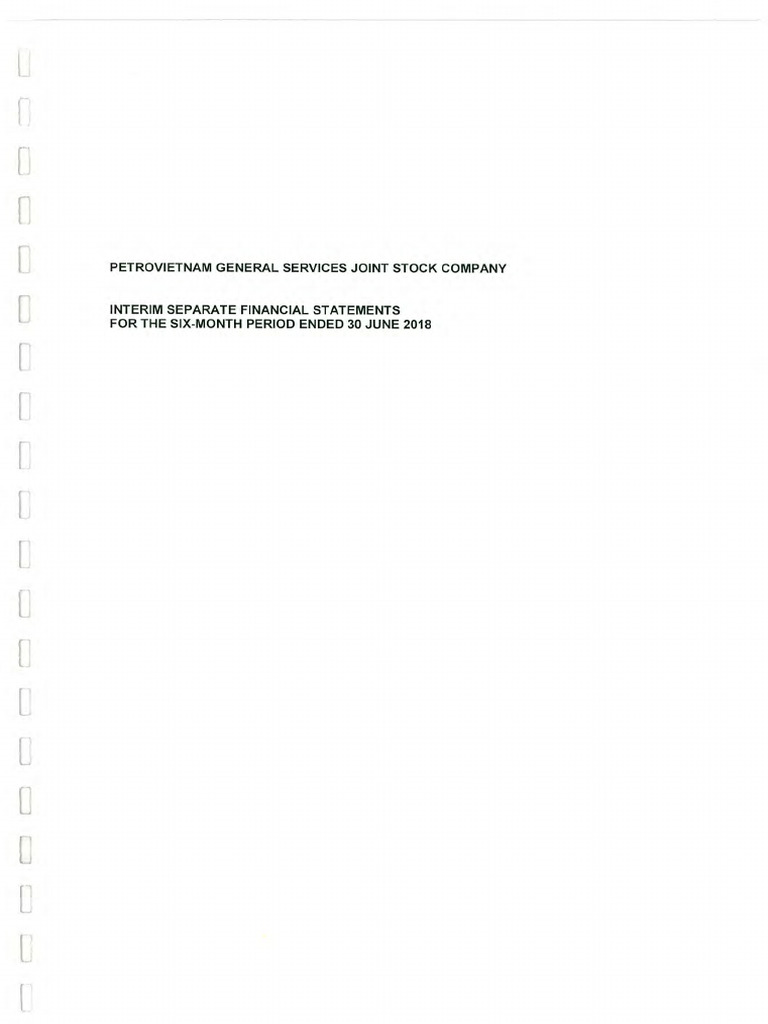 Holding Financial Statement Hy 2018 | PDF