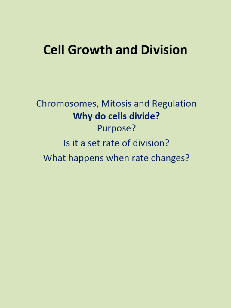 Cell Growth and Division | Download Free PDF | Mitosis | Cell Cycle