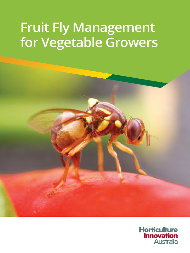 Fruit-Fly-guide-Booklet | Download Free PDF | Fly | Drosophila Melanogaster
