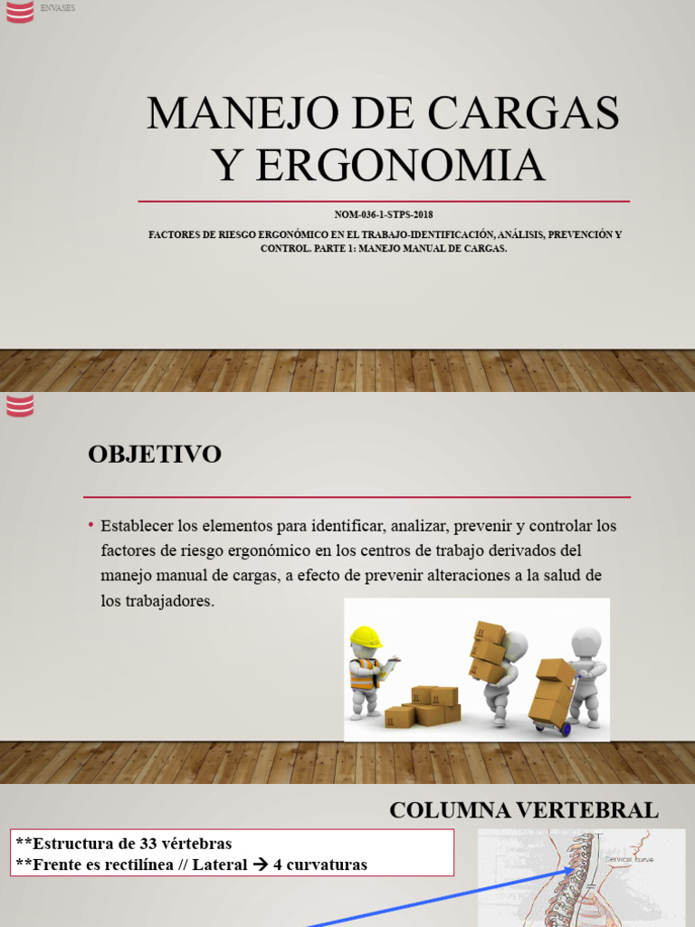 Manejo de Cargas 09.12.2020 | PDF | La columna vertebral | Dolor lumbar