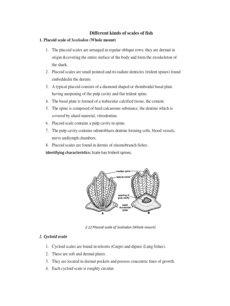 Types of Fish Scales | PDF | Fish