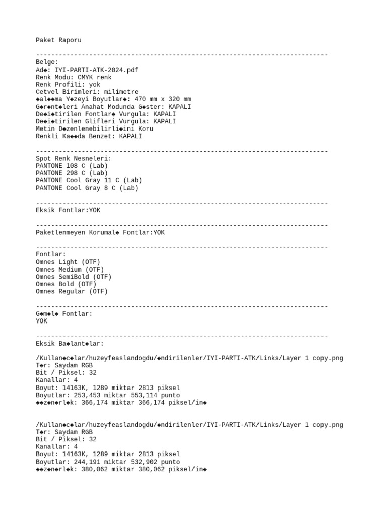IYI-PARTI-ATK-2024 Rapor | PDF