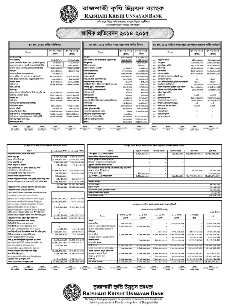 Financial Statement | PDF